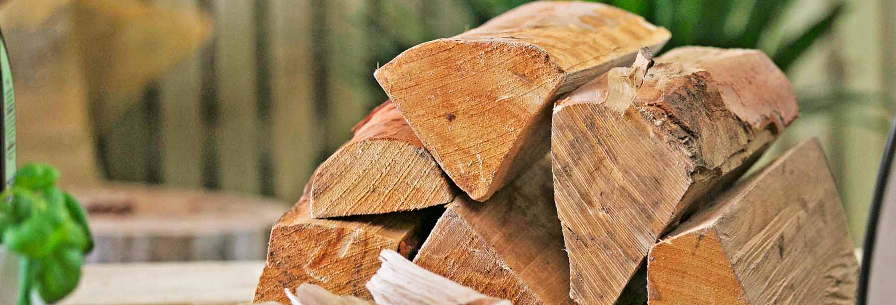 Why Wood Choice Matters: Exploring Different Woods for Pizza